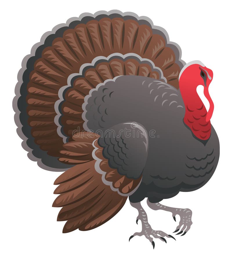 Turkey Feet Stock Illustrations – 476 Turkey Feet Stock Illustrations ...