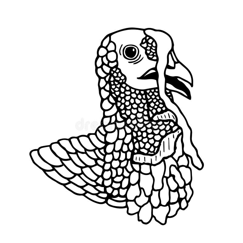 Turkey. Vector Stock Illustration Eps10. Isolate on White Background ...