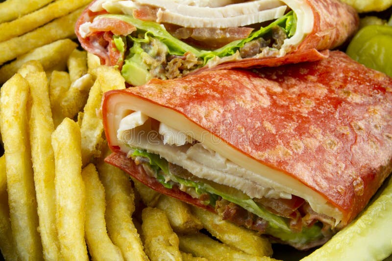 Turkey Wrap with Fries stock photo. Image of dinner, french - 23420398