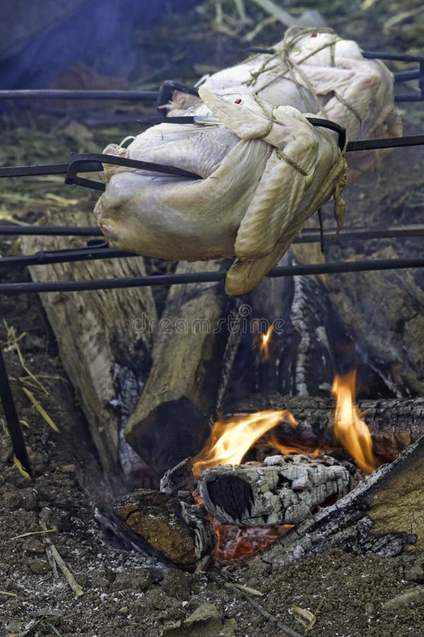 Roasting Chicken Over a Campfire Stock Photo - Image of clever ...