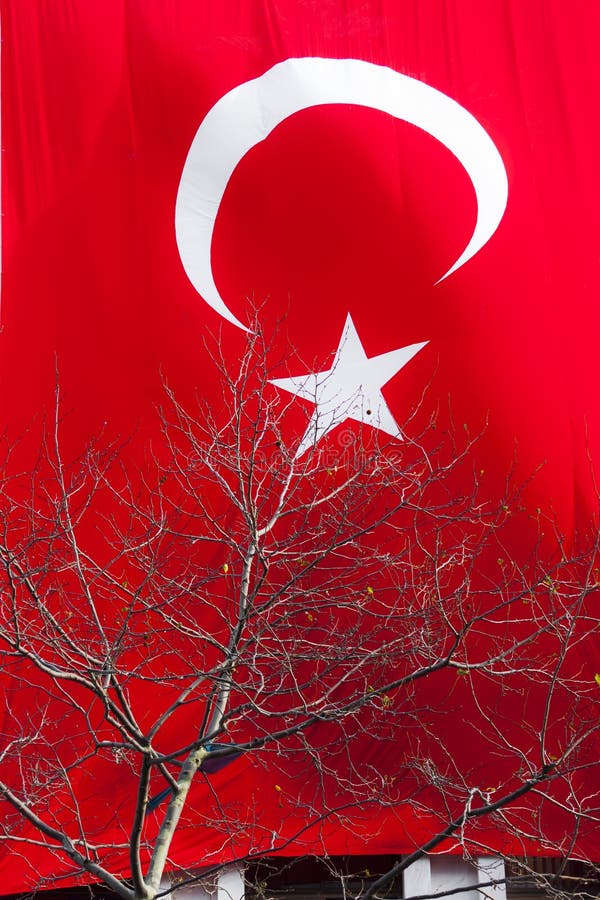 Turkish flag over a tree stock image. Image of turkish - 84866221