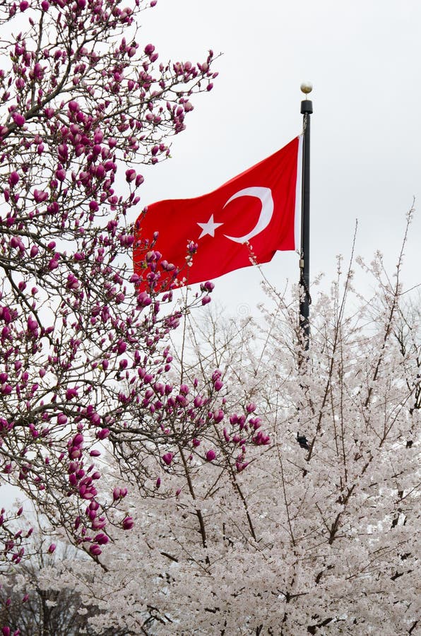Giant Turkish Flag editorial stock image. Image of crowd - 20414904