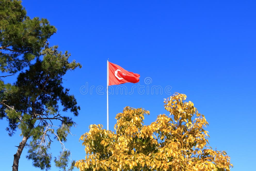 Turkish Flag and Tree Branches Stock Image - Image of nation, flower ...