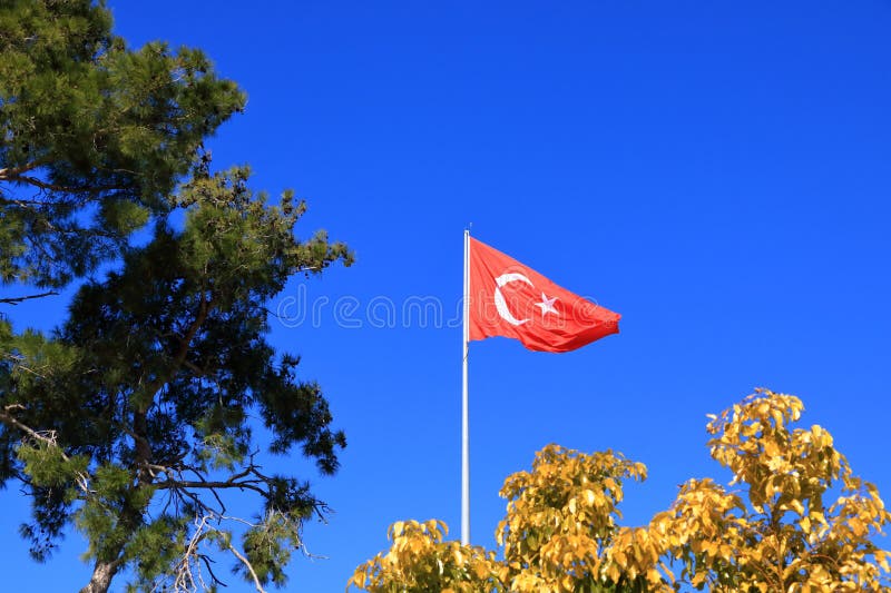 Turkish Flag and Tree Branches Stock Image - Image of light, city ...