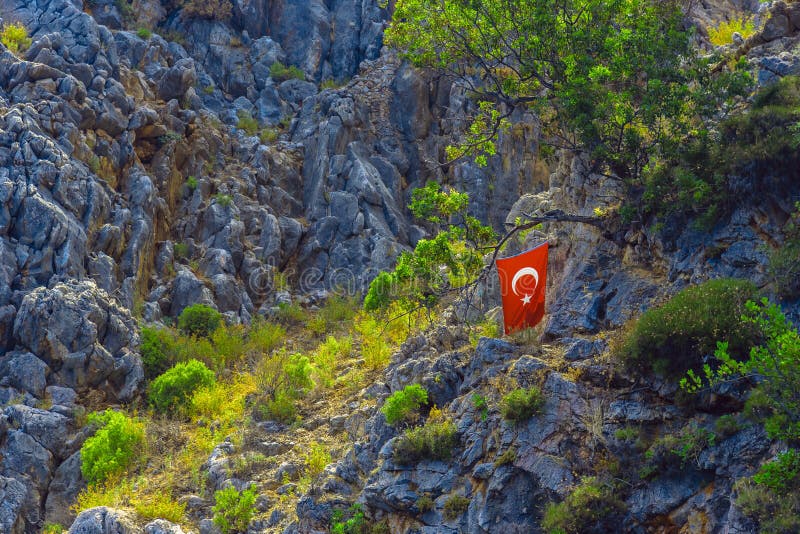 Turkish Flag on Tree in Mountains Stock Image - Image of turkey, sunny ...