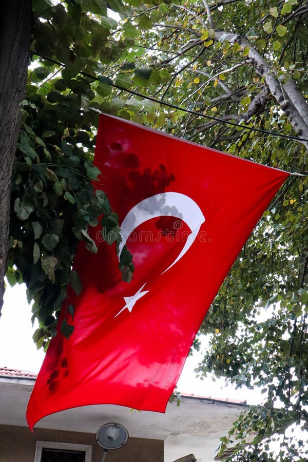 Turkish Flag in the Trees Close Up Stock Image - Image of close ...