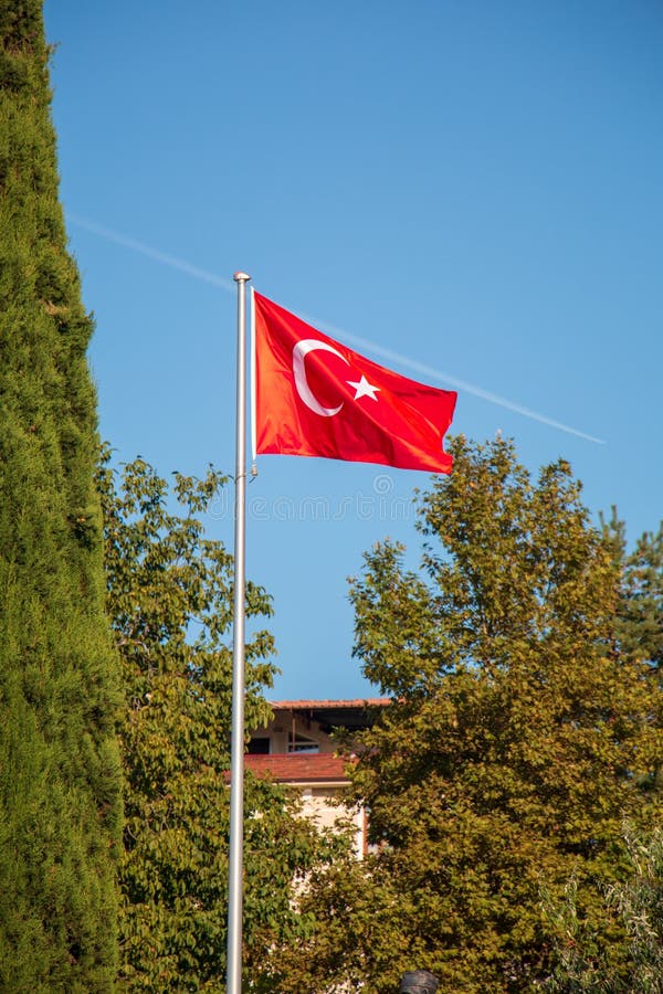 Turkish flag stock photo. Image of trees, turkey, flag - 198577488