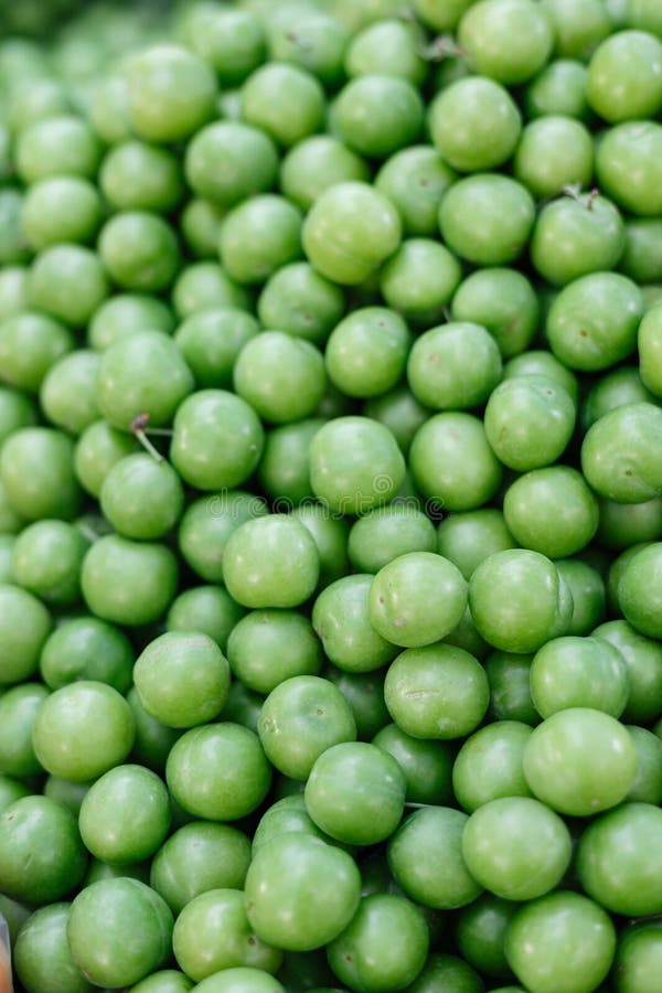Turkish Green Plum on a Store Counter Stock Image - Image of healthy ...