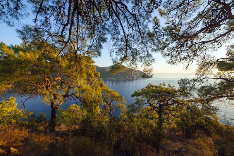 Turkish Landscape, Beach with Green Forest Stock Image - Image of color ...