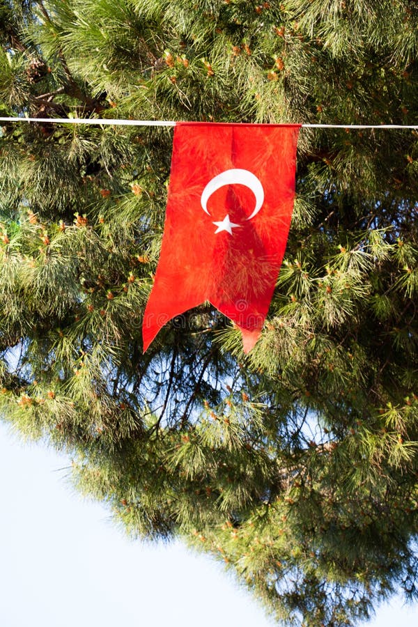 Turkish National Flag on a String in View Stock Photo - Image of moon ...