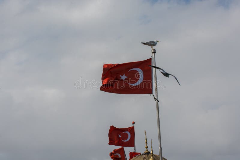 Turkish National Flags with White Star and Moon in Sky Stock Photo ...