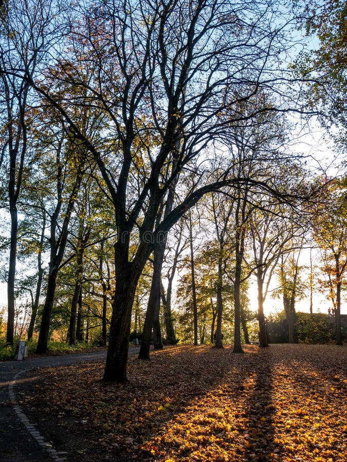 Turmberg in autumn stock image. Image of karlsruhe, sunshine - 137446031