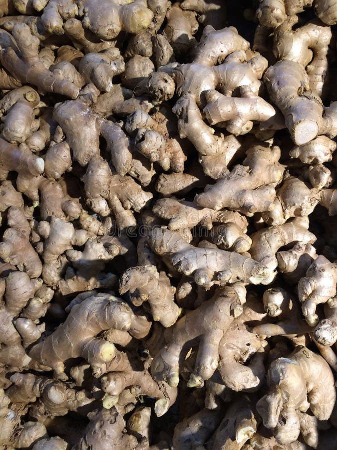 Turmeric Background in Market. Stock Photo - Image of seasoning ...