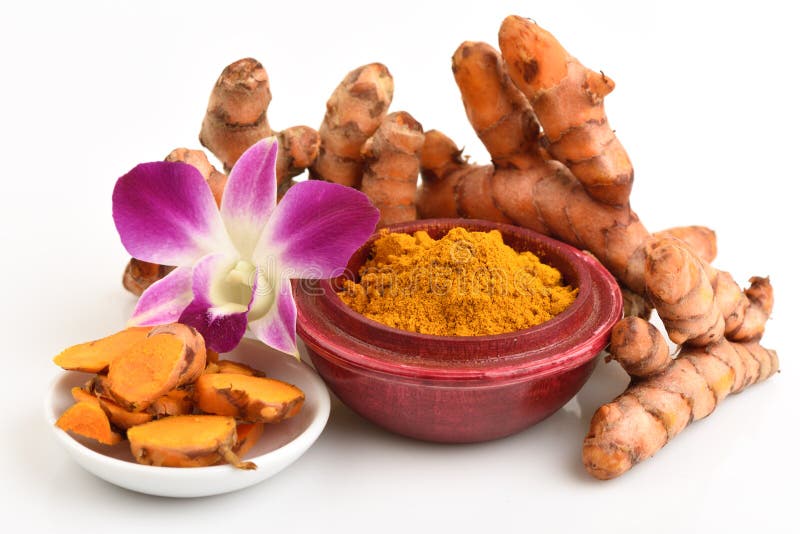 Curcuma longa Linn stock photo. Image of yellow, herbal - 20813474