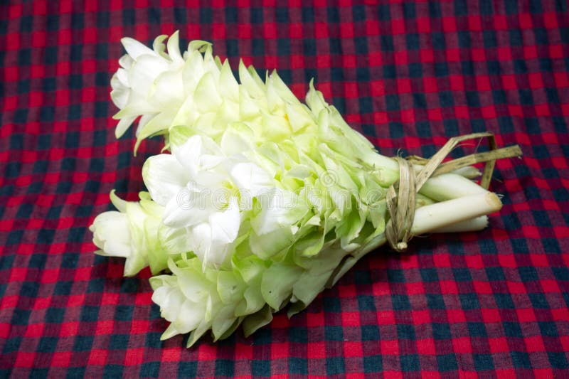 Edible Turmeric Flower on Cloth Stock Image - Image of nature, field ...