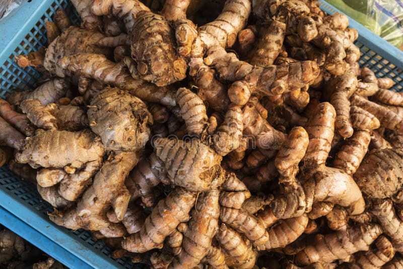 Turmeric in fresh market stock photo. Image of spice - 227815282