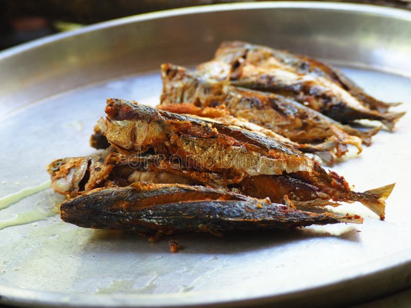 Turmeric fried mackerel stock photo. Image of fish, fried - 93106236