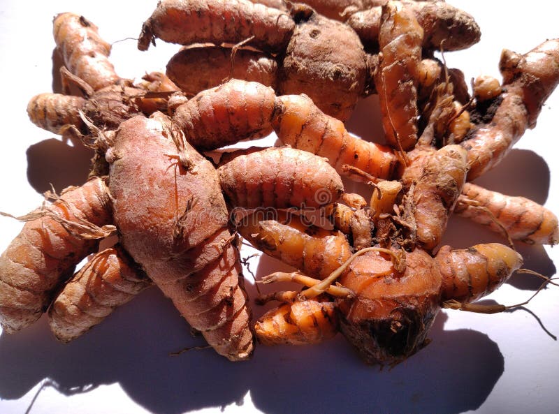 Turmeric stock image. Image of spices, turmeric, indonesia - 208768517