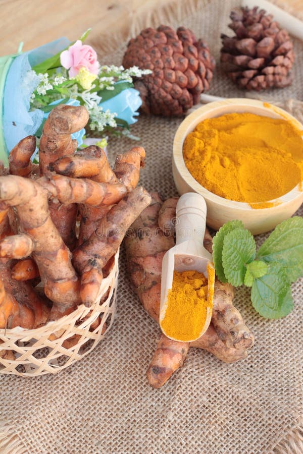 Turmeric Powder and Fresh Turmeric for Health. Stock Photo - Image of ...