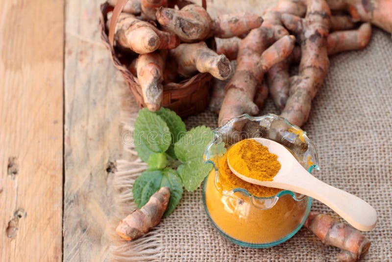 Turmeric Powder and Fresh Turmeric for Health. Stock Image - Image of ...