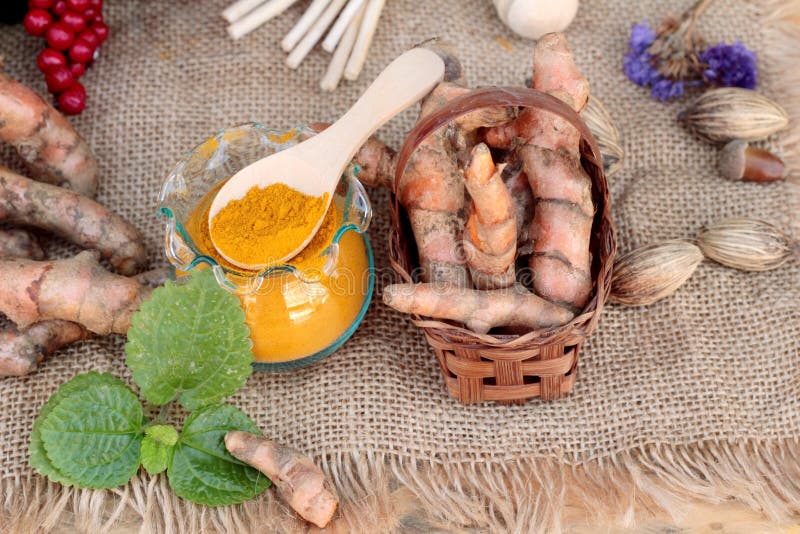 Turmeric Powder and Fresh Turmeric for Health. Stock Photo - Image of ...