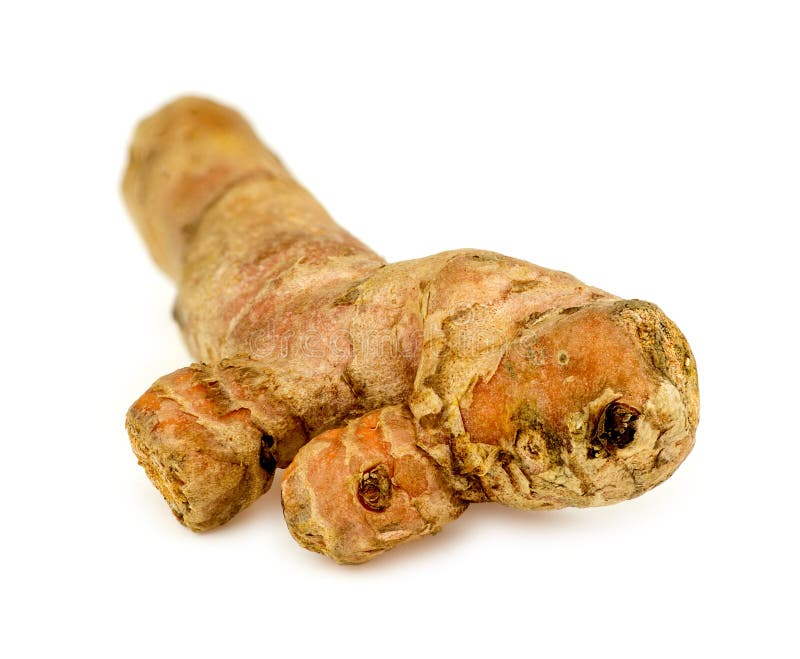 Turmeric root stock photo. Image of objects, herbal, indian - 48249550