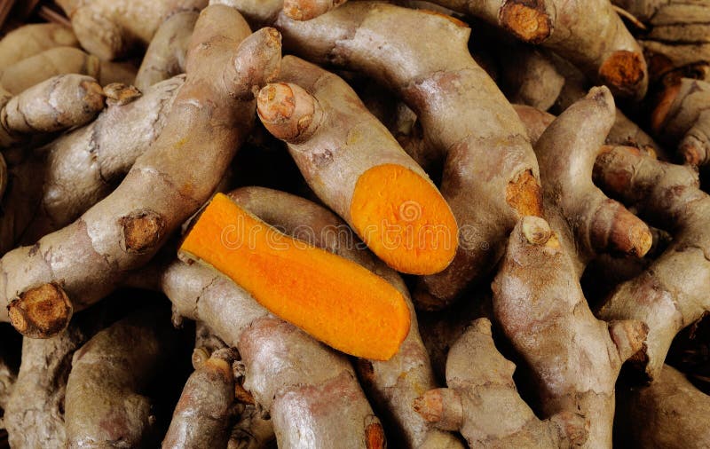 Turmeric stock photo. Image of asia, fresh, cultivated - 45600756