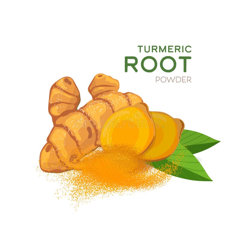 Turmeric Root Green Leaves Stock Illustrations – 159 Turmeric Root ...