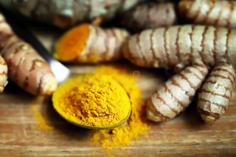 Turmeric. Turmeric root stock image. Image of herbal - 264296959