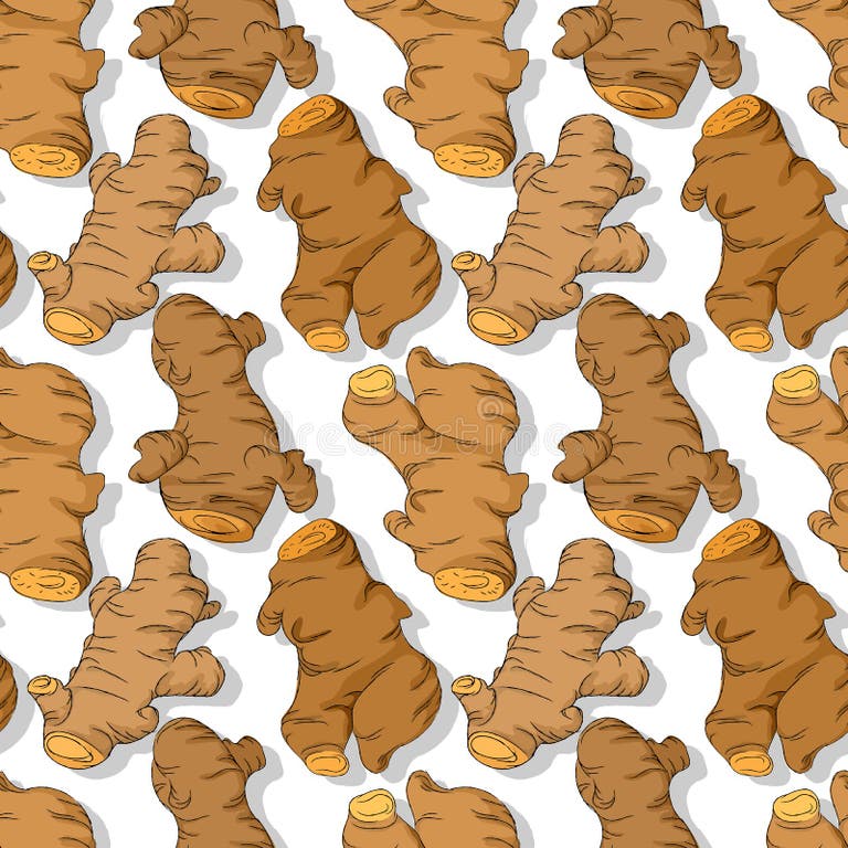 Turmeric Pattern Stock Illustrations – 11,271 Turmeric Pattern Stock ...