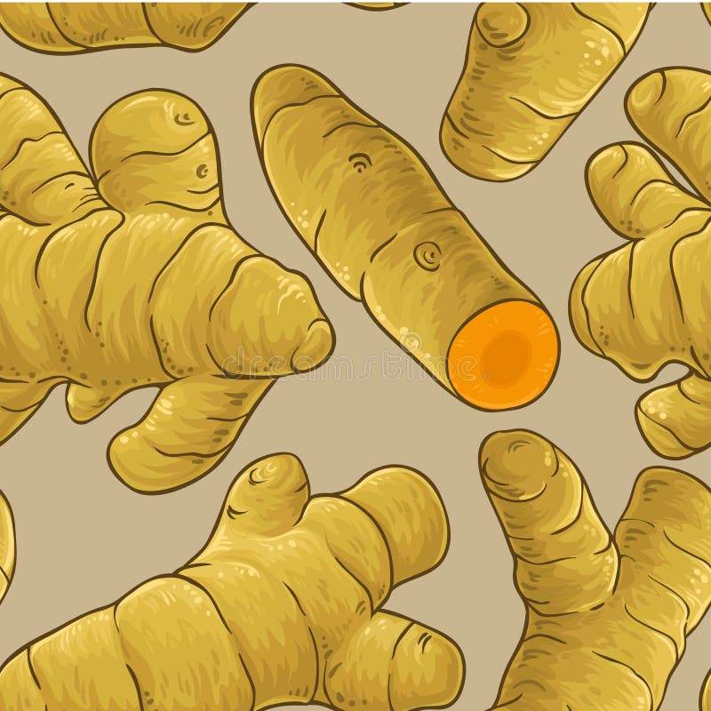 Turmeric Tea Vector Illustration View from Above Stock Vector ...