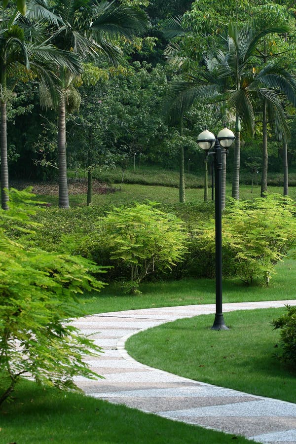 Turn the corner stock image. Image of tropic, curve, lamp - 6537781