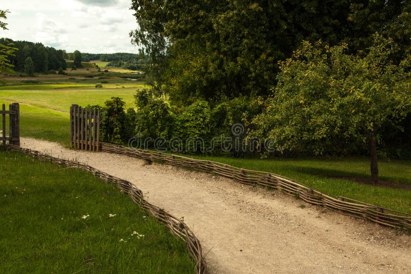 Turn Field Road between Trees in the Summer Forest Stock Photo - Image ...