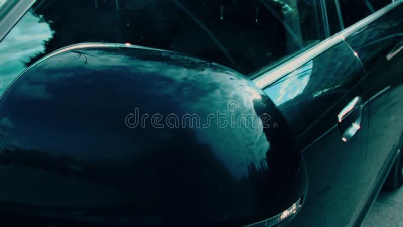 Turn Indicator on the Driver S Side Mirror. Car Details Presentation in ...