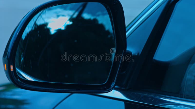 Turn Indicator on the Driver S Side Mirror. Car Details Presentation in ...