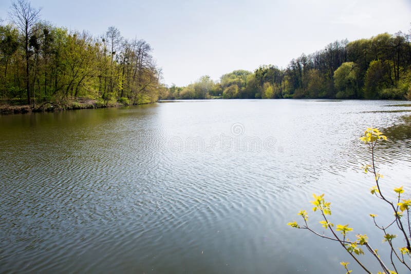 Turn of the river stock image. Image of landscape, grass - 141644269