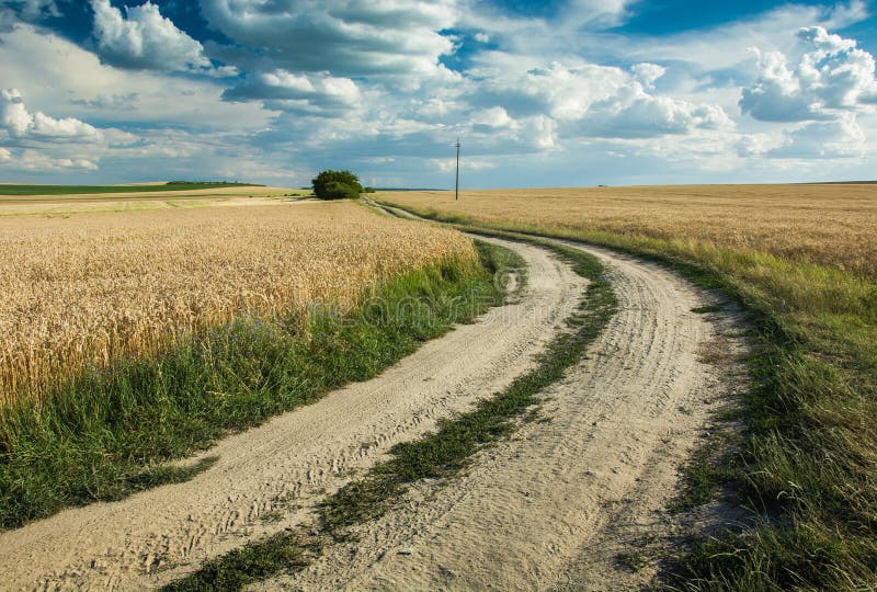 Sandy Road Turning through the Fields Stock Image - Image of view ...