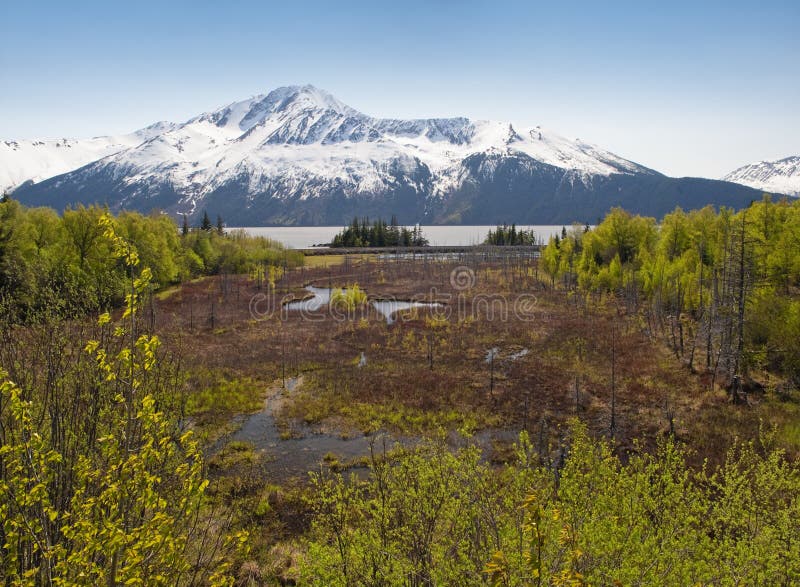 Turnagain Arm landscape stock photo. Image of pretty - 11315754