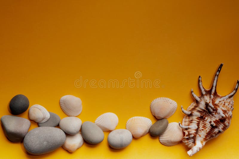 Turned Round Stones and Shells on a Yellow Background Stock Image ...