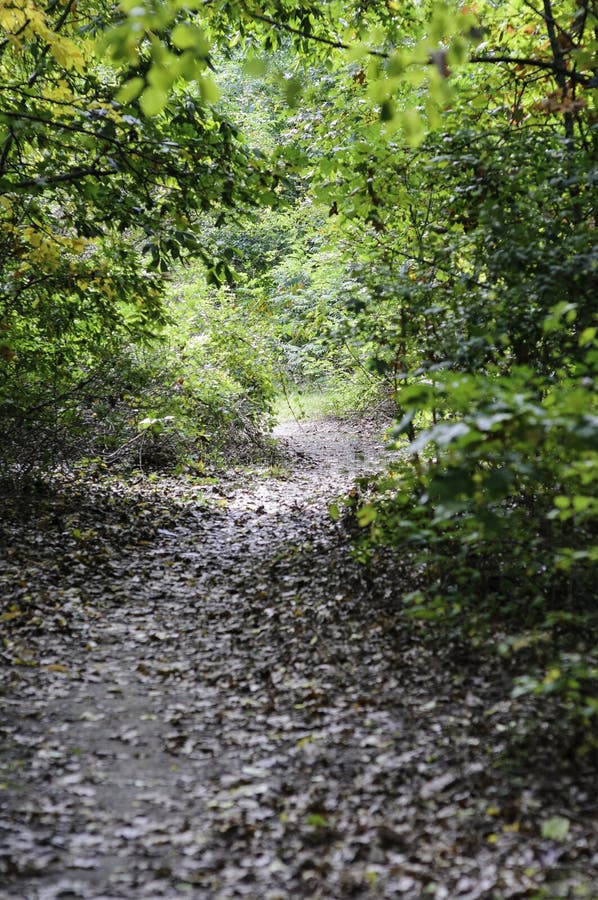 Turner Reservoir Loop Trail Stock Photos - Free & Royalty-Free Stock ...