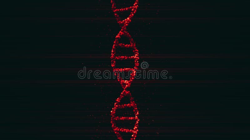 Red DNA Molecule Ball Model with Particles, Seamless Loop Stock Footage ...