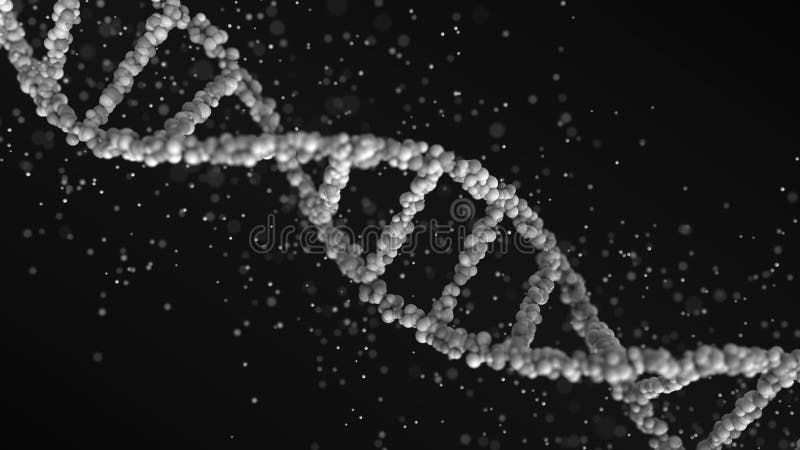 Turning Gray DNA Molecule Model, Seamless Loop Stock Video - Video of ...
