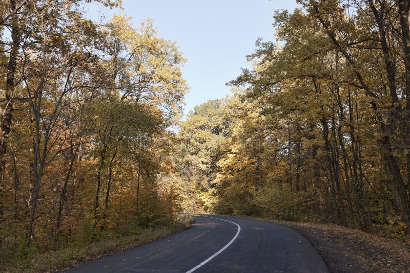 Turning the empty road stock image. Image of leaves, nature - 34446051