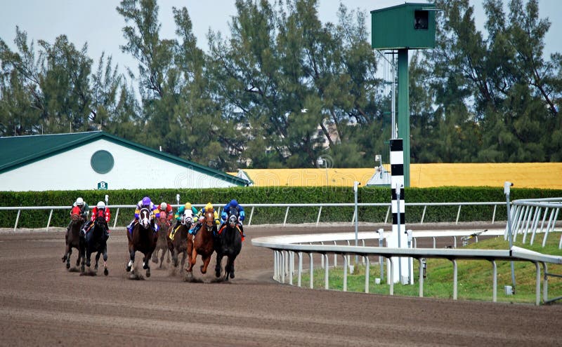 Turning into the Final Stretch Stock Photo - Image of horses, racing ...