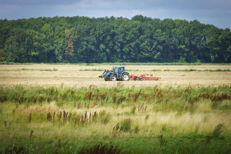 Turning grass editorial photo. Image of land, agriculture - 76153011