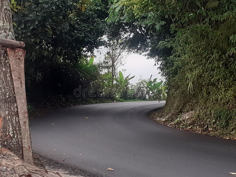 Turning road stock image. Image of road, asphalt, autumn - 237512741