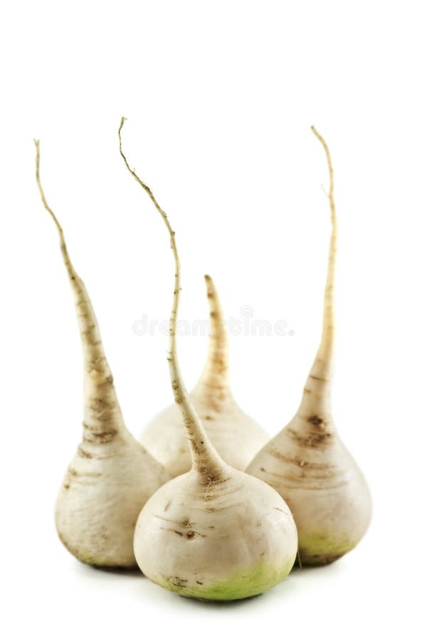 Sunrise desert stock image. Image of african, adventure - 2547299