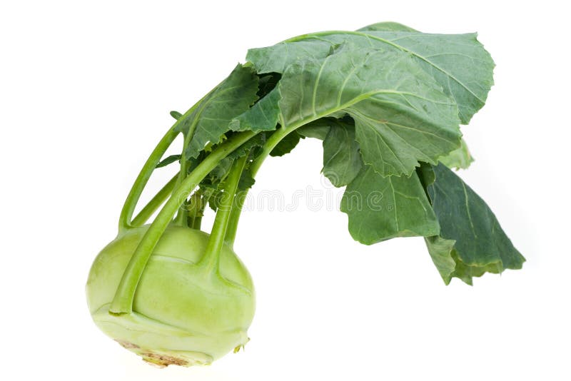 Three Kohlrabi Turnip stock photo. Image of isolated - 13445116