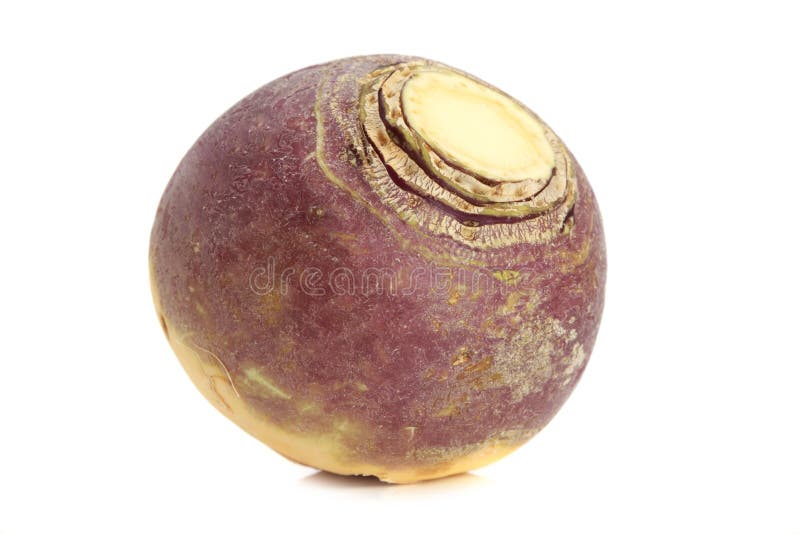 Turnip stock image. Image of nutritious, turnip, fresh - 7149561
