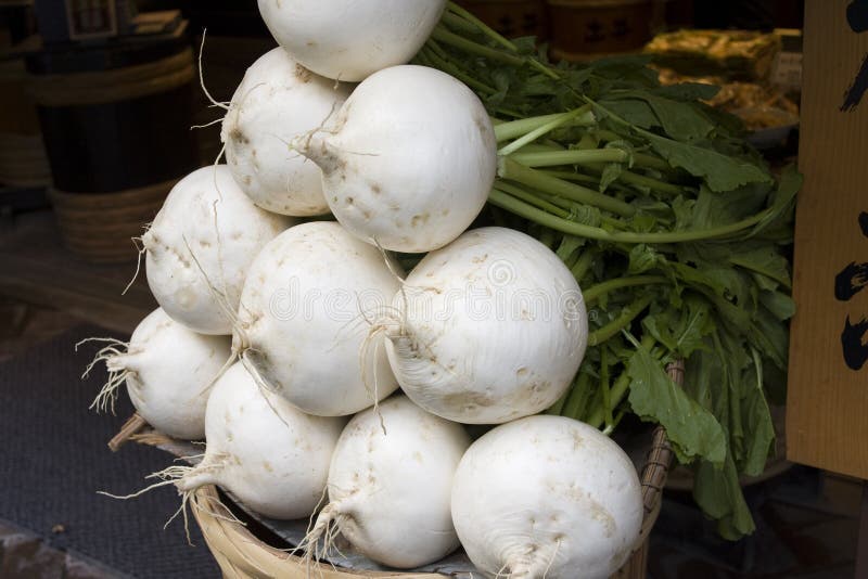 Turnip stock photo. Image of tsukemono, nature, turnip - 8821308
